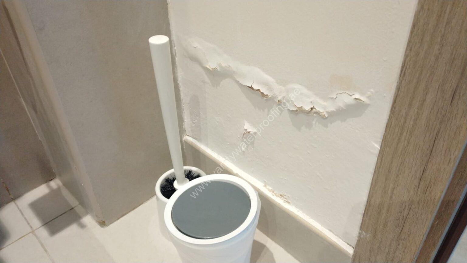 Treatment for Wall Dampness | Wall Moisture Company in Dubai